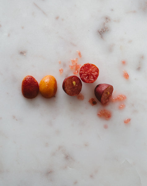 Red Centre Lime - Blood Lime Food Uses | Warndu