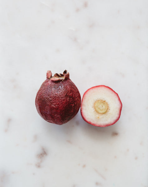 Bush Apple Food Uses | Warndu