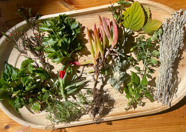 What to do when you can't get fresh Australian Native's | Warndu