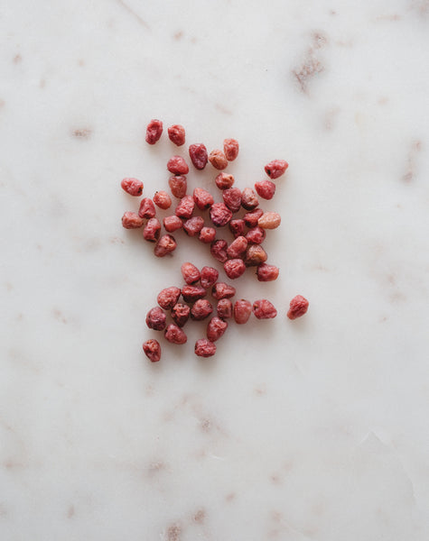 Australia Native Fruit Riberries | Warndu