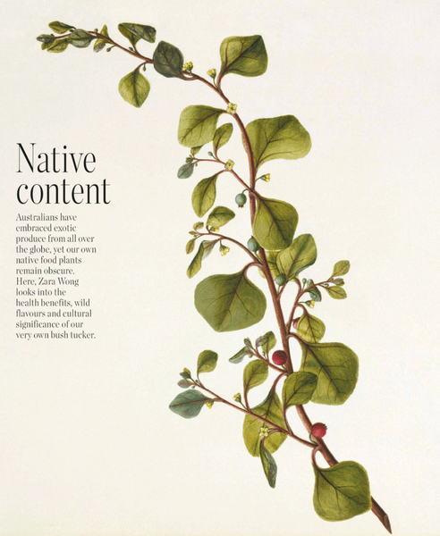 We are in Vogue ... and their guide to Australian Native Foods | Warndu