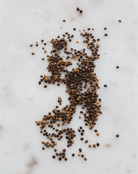 Wattleseed Food Uses | Warndu